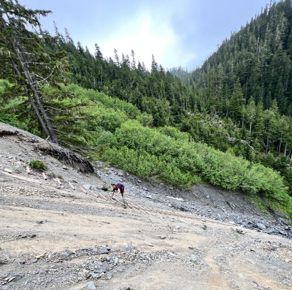 A Guide to Backpacking the Hoh River Trail