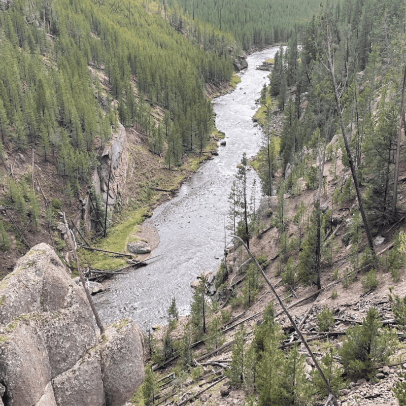 A Guide to Backpacking Yellowstone National Park